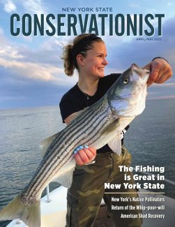 NYS Conservationist