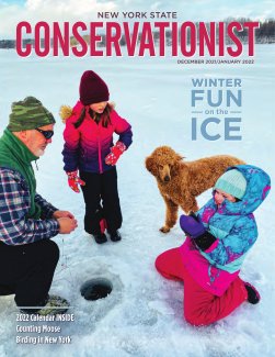 NYS Conservationist