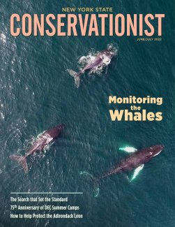 NYS Conservationist
