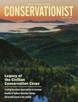 NYS Conservationist