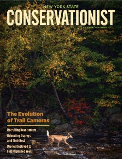 NYS Conservationist