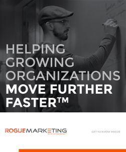 Rogue Introduction_audio