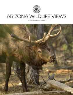 Arizona Wildlife Views Magazine