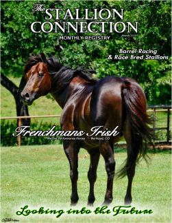 The Stallion Connection