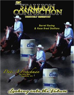 The Stallion Connection